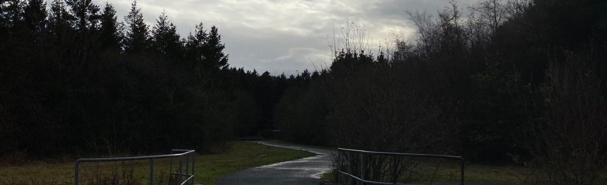 Merlin Castle Loop: 17 foto - County Galway, Irlanda | AllTrails