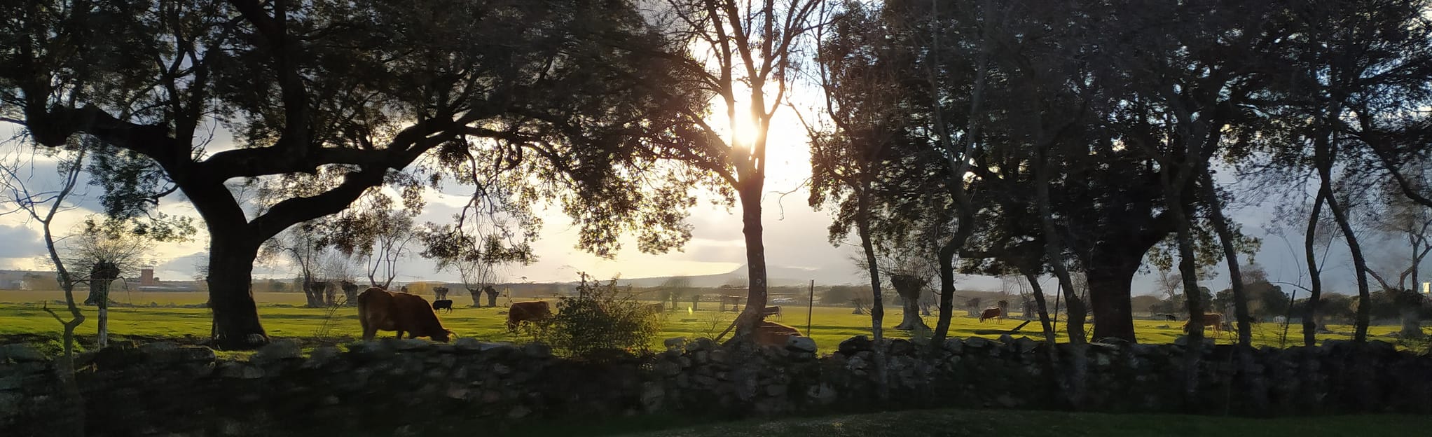 Camino Parque de la Poveda - Dehesa Boyal, Community of Madrid, Spain ...