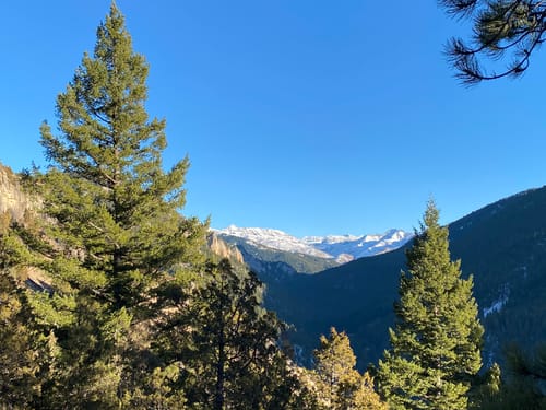 2023 Best 10 Trails in Custer Gallatin National Forest | AllTrails