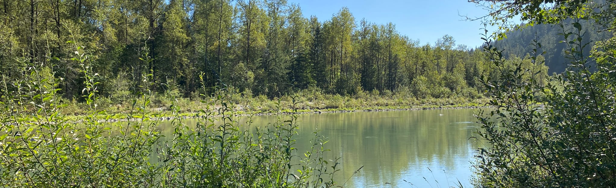 Oxbow Park Loop: 341 Reviews, Map - Oregon | AllTrails