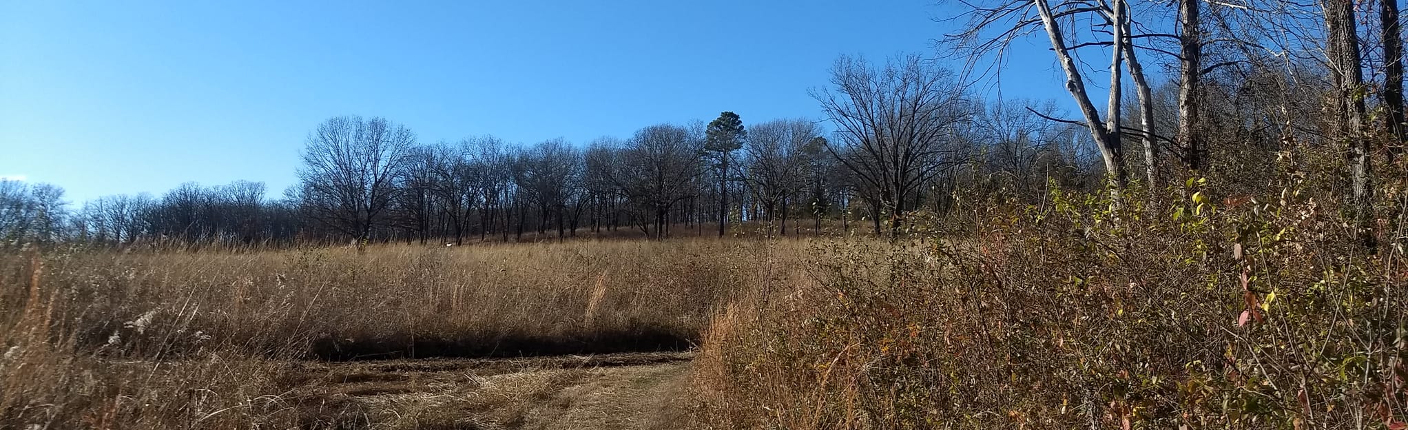 Ozark Rivers Audubon Loop: 95 fotos - Missouri | AllTrails