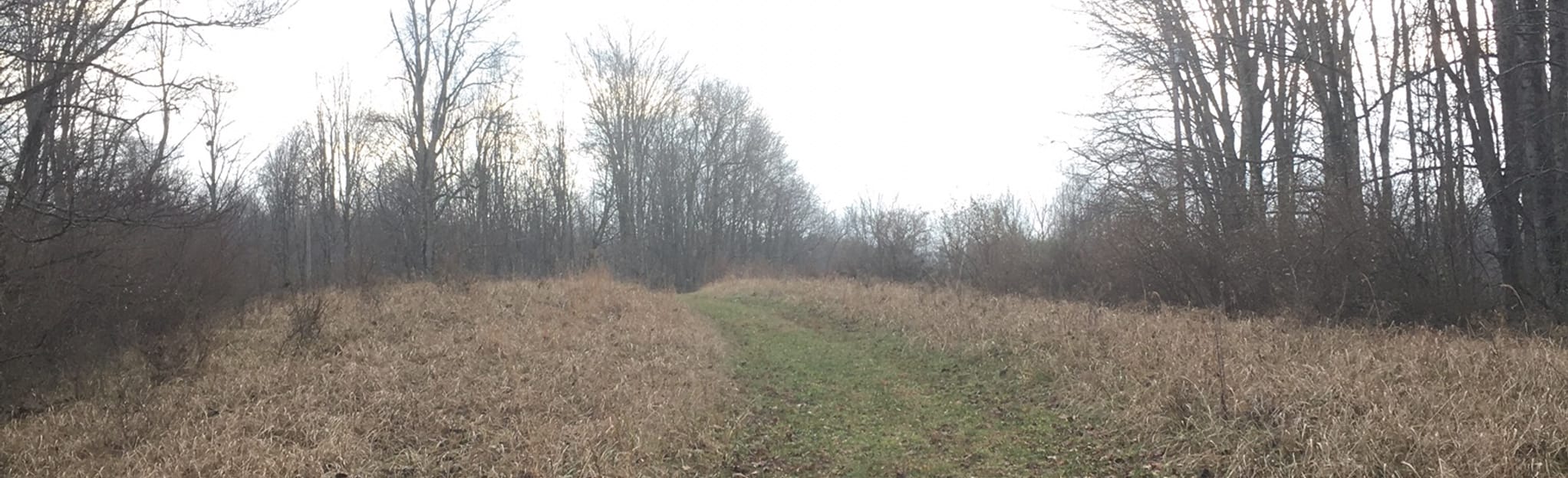 Still Run Ridge Trail, West Virginia - 12 Reviews, Map | AllTrails