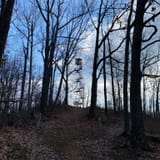 Day Hike Trail, Copperhead Fire Tower, and Bear Lake, Ohio - 31 Reviews ...