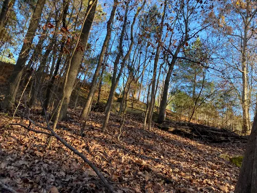 10 Best Trails and Hikes in Fort Mill | AllTrails