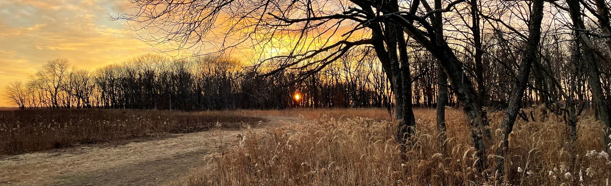 Dayton Bluffs North Loop, Illinois - 15 Reviews, Map | AllTrails