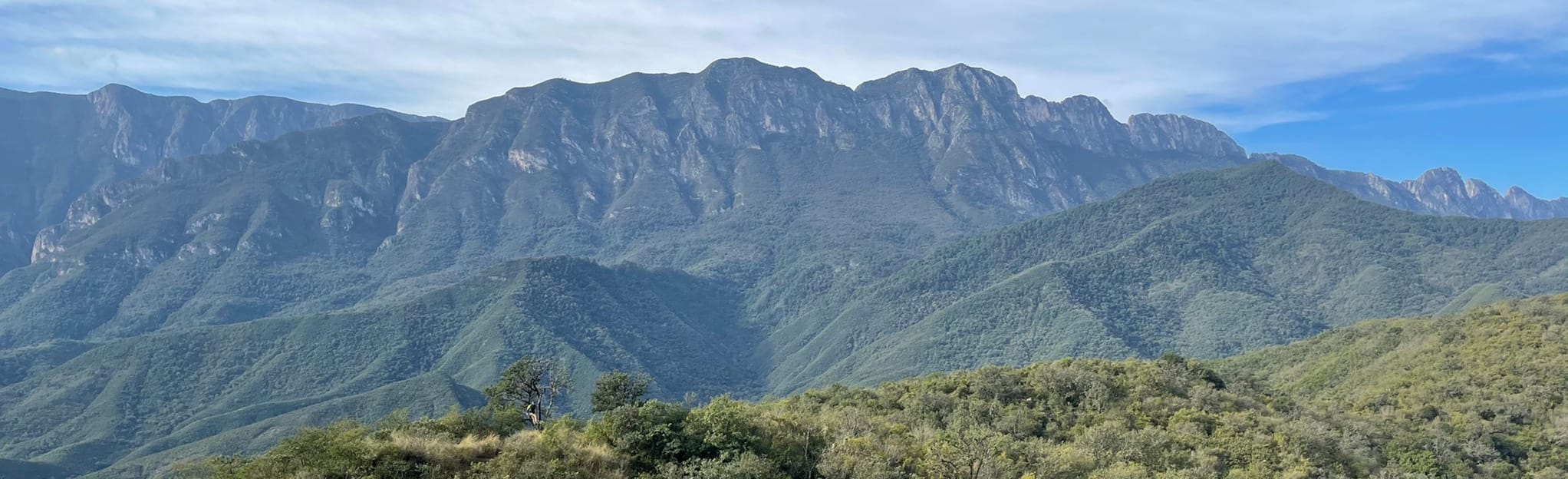 Circuito Cerro el Chupón: 108 fotos - Nuevo León, México | AllTrails