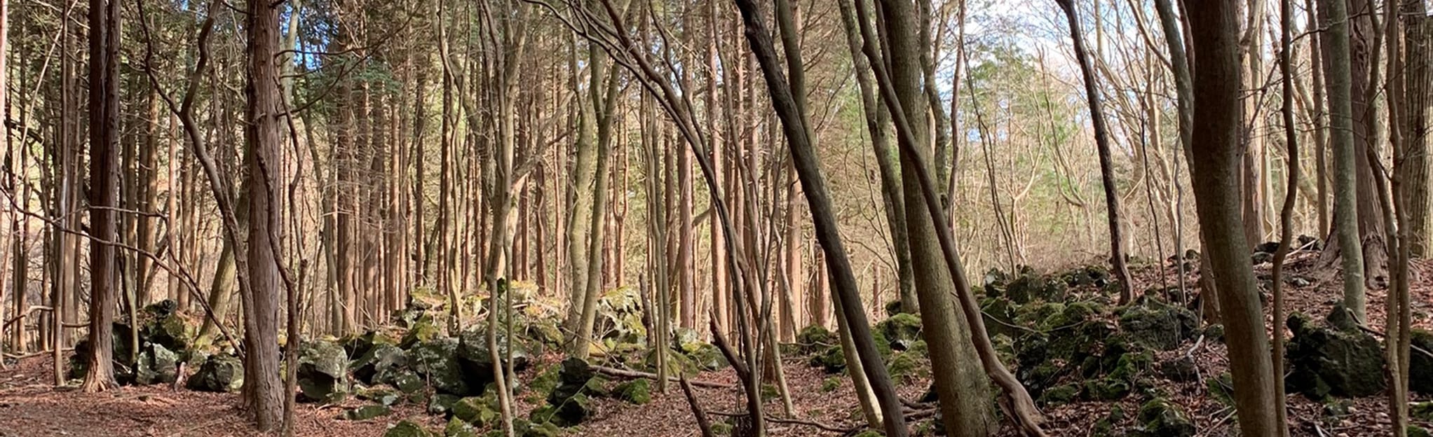 Mount Amagatake - Nebara, Shizuoka, Japan - Map, Guide | AllTrails