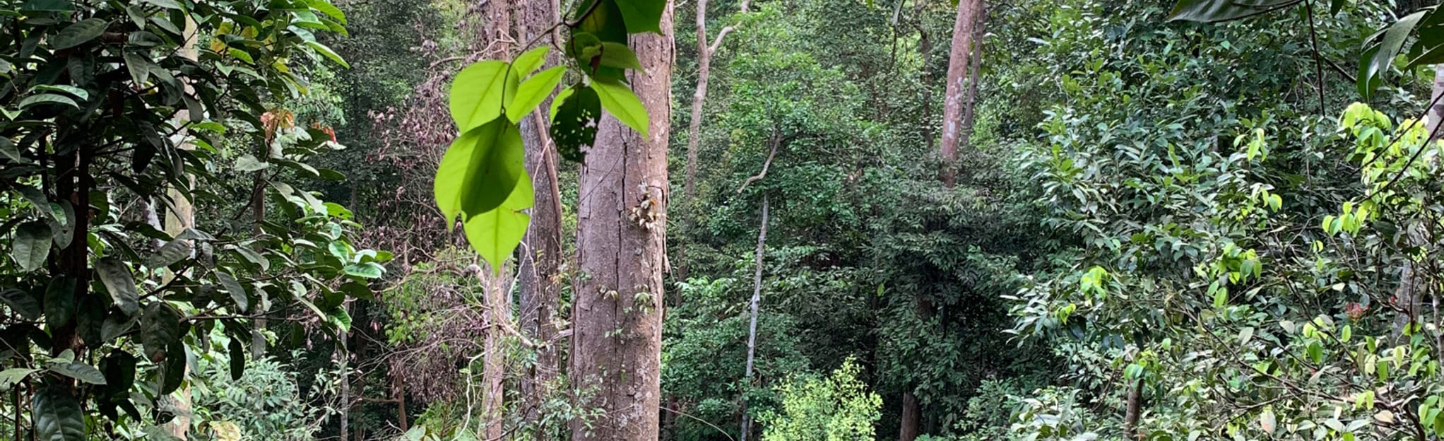Kijang Waterfall - Bukit Kijang - Muntahak Campsite, Johor, Malaysia ...
