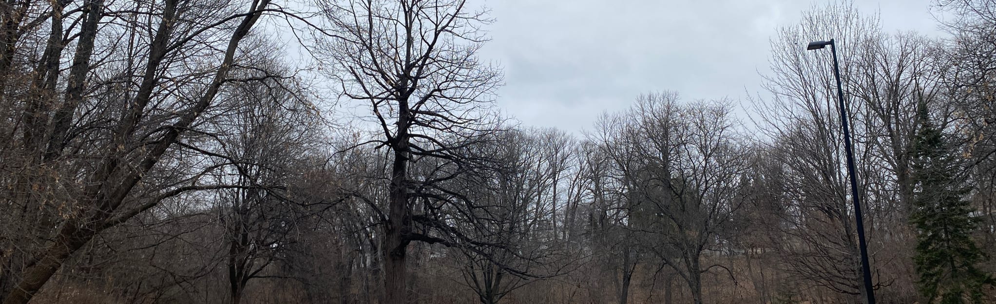 Peabody Trail: 25 Reviews, Map - Wisconsin | AllTrails