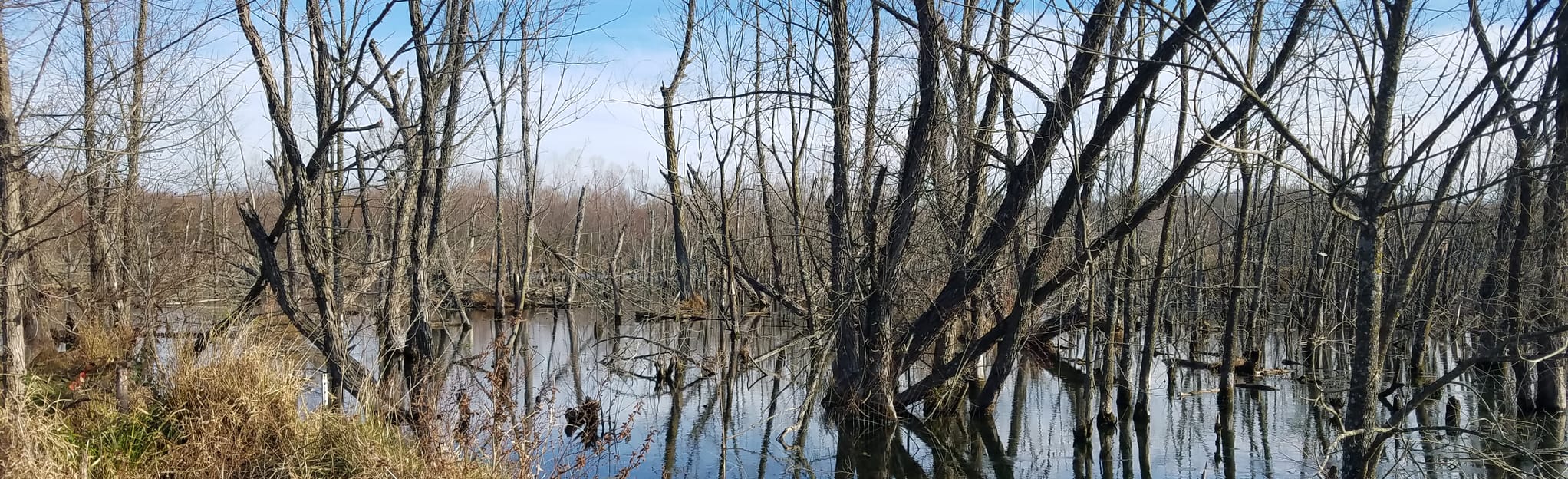 Wilson Springs Preserve Trail, Arkansas - 52 Reviews, Map | AllTrails