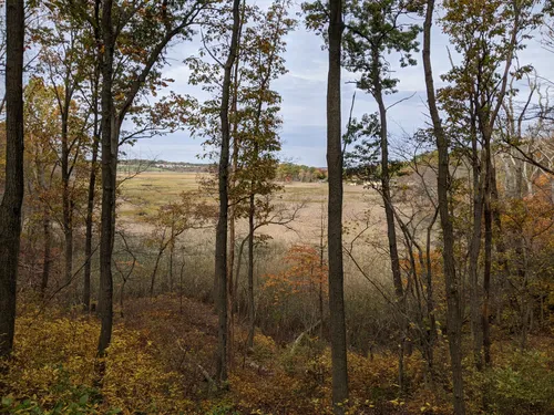 Best Hikes and Trails in Cheesequake State Park | AllTrails