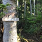 Narnia Trail, Washington - 106 Reviews, Map | AllTrails