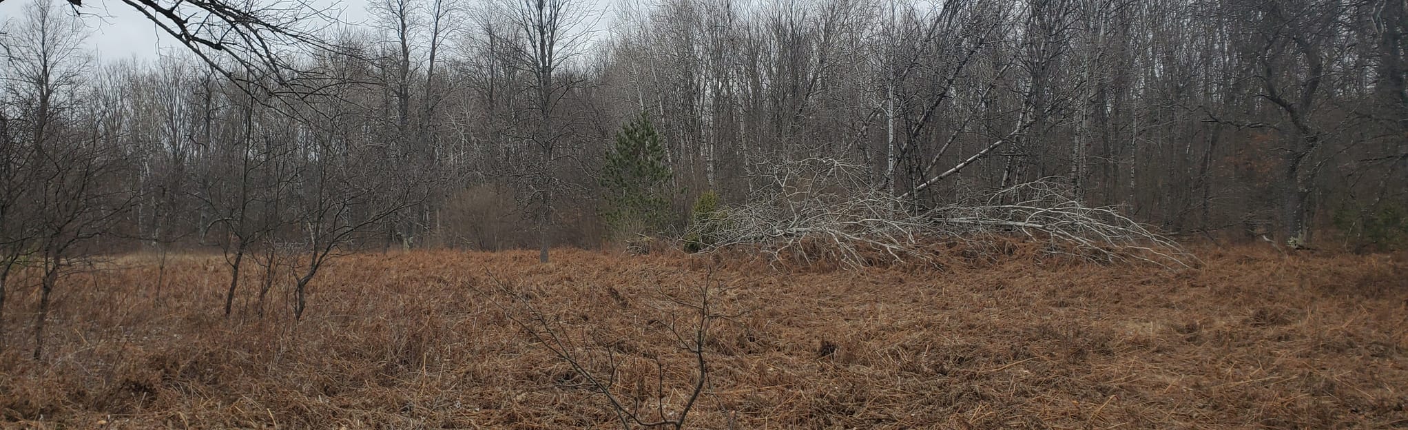 MacKenzie Trail, Michigan - 45 Reviews, Map | AllTrails