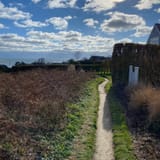 Sconset Bluff Path, Massachusetts - 245 Reviews, Map | AllTrails