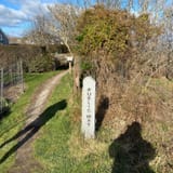 Sconset Bluff Path, Massachusetts - 245 Reviews, Map | AllTrails