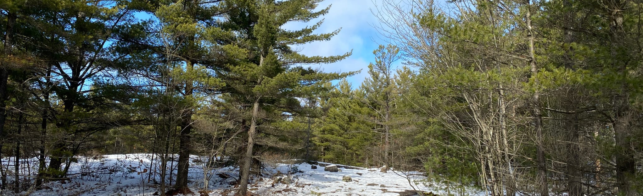 Lynx Loop, Ontario, Canada - 81 Reviews, Map | AllTrails