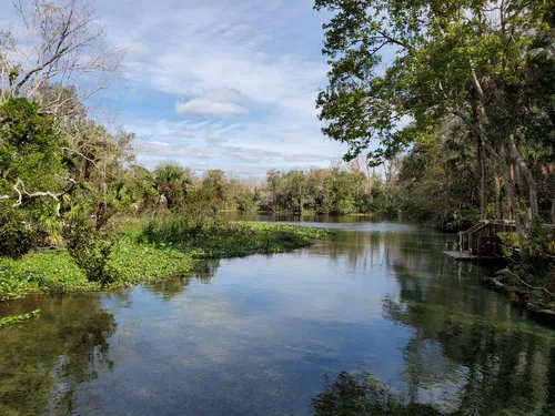 Best Hikes and Trails in Wekiwa Springs State Park | AllTrails