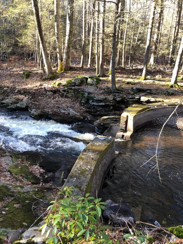Best Hikes and Trails in Roaring Brook Reserve | AllTrails
