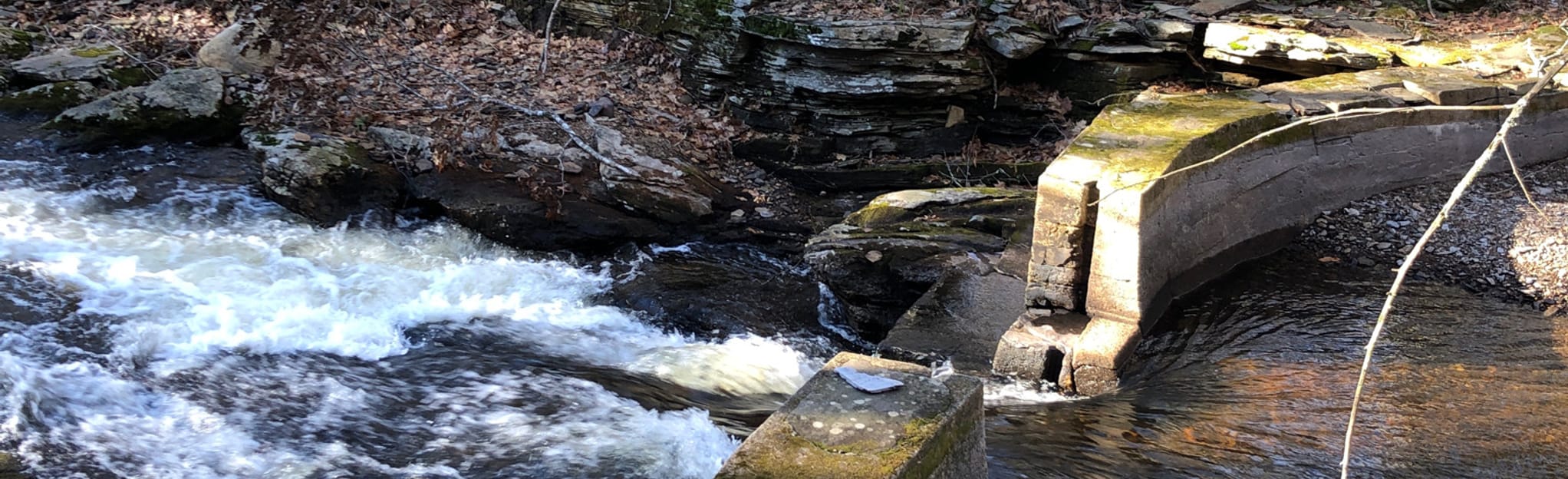 AllTrails | Roaring Brook Red Trail: 36 Reviews, Map - Connecticut