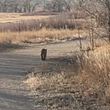 Ketner Reservoir Path, Colorado - 212 Reviews, Map | AllTrails