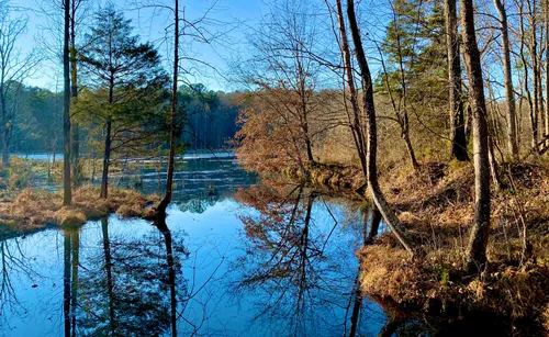 10 Best Hikes and Trails in Land Between the Lakes National Recreation ...
