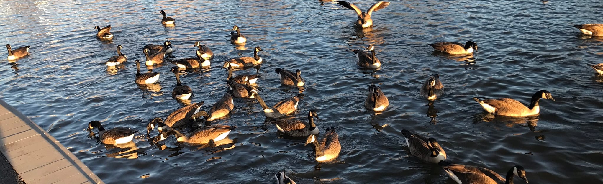 North Hudson Loop: 61 Reviews, Map - New Jersey | AllTrails