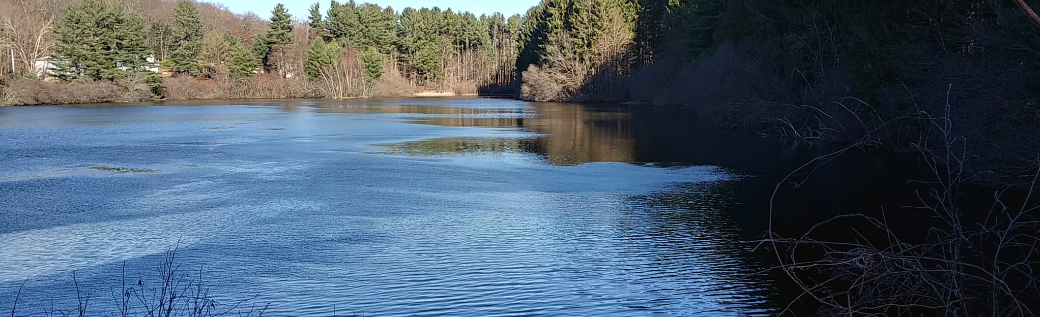 Quillinan Forest Boundary Loop: 89 Reviews, Map - Connecticut | AllTrails