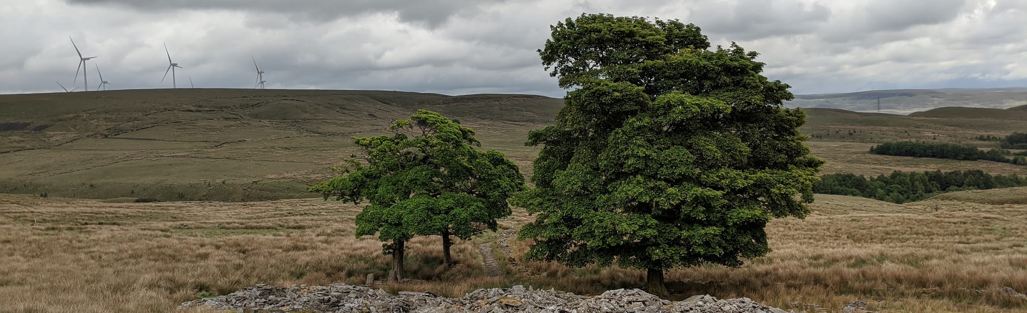 Watergrove Reservoir and Rough Hill Circular - Greater Manchester ...