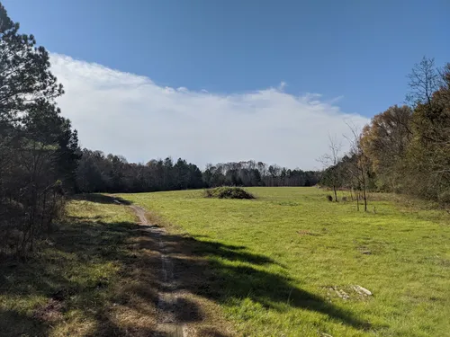 10 Best Trails and Hikes in Fort Mill | AllTrails