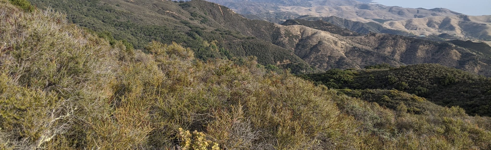 Baron Ranch Trail to Camino Cielo, California - 36 Reviews, Map | AllTrails