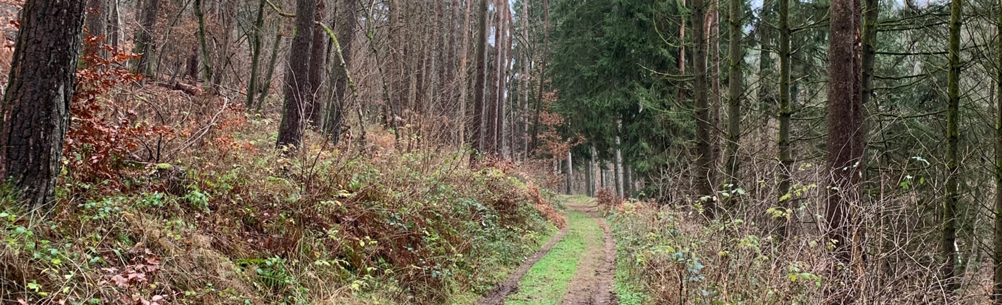 Senningerberg loop 2: 14 foto's - Luxemburg, Luxemburg | Wandelen ...