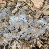 T Bagg Trail, Massachusetts - 280 Reviews, Map | AllTrails