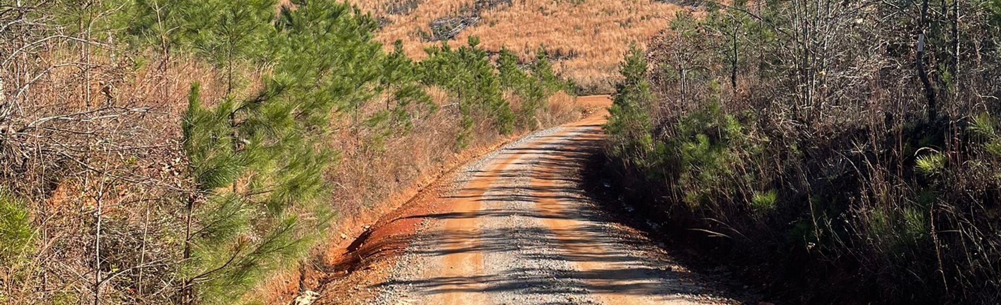 Pinhoti Trail: 46 Reviews, Map - Alabama | AllTrails