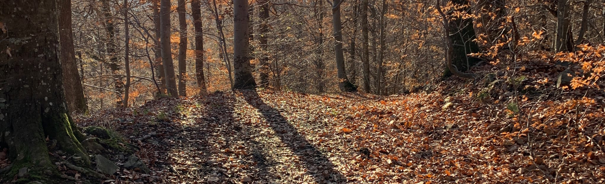 Lugareva Kuća - Brestovac, City of Zagreb, Croatia - Map, Guide | AllTrails