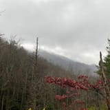Rattlesnake Ridge Trail, Tennessee - 153 Reviews, Map | AllTrails