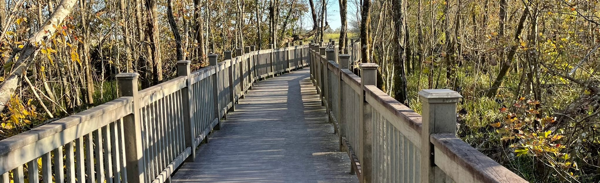 Lockport Elevated Wetland Board Walk: 12 Reviews, Map - Louisiana ...
