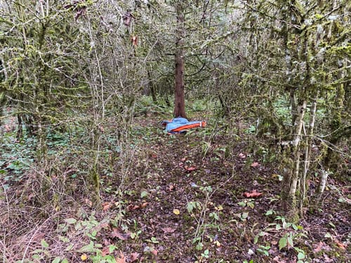 Best Hikes and Trails in Kelly Butte Natural Area | AllTrails