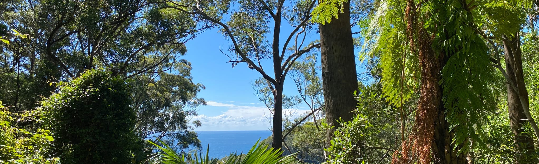 Stanwell Park to Stanwell Creek, New South Wales, Australia - 38 ...