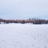 Rundle Park Riverside Trail, Alberta, Canada - 217 Reviews, Map | AllTrails