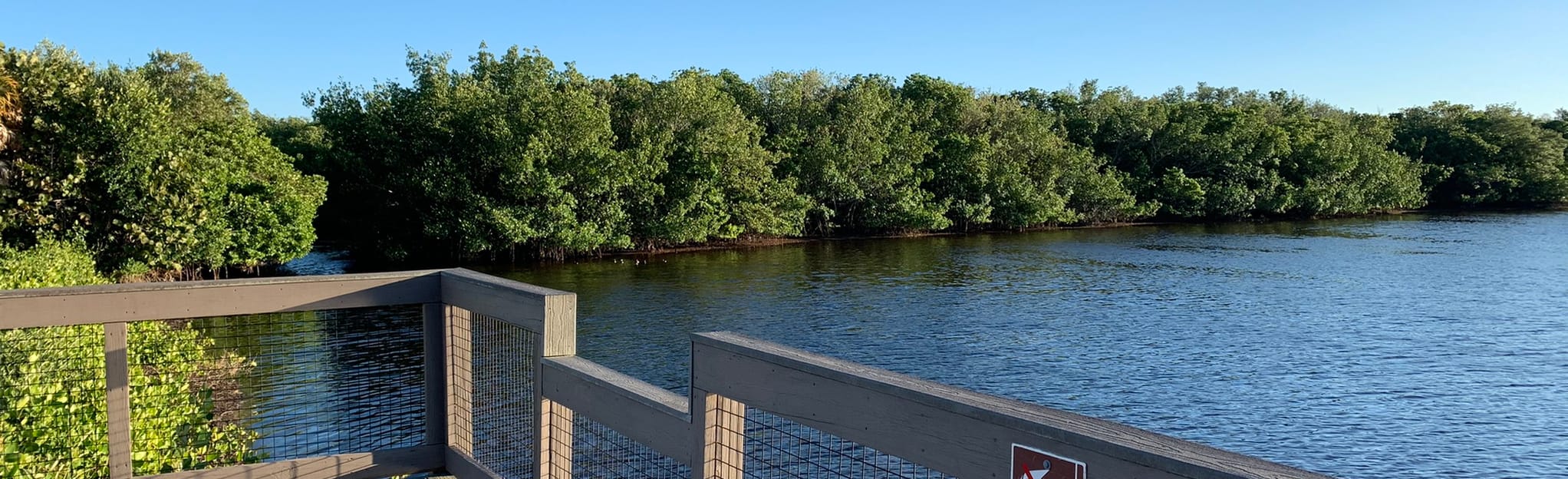 Ding Darling Indigo Trail, Florida - 261 Reviews, Map | AllTrails