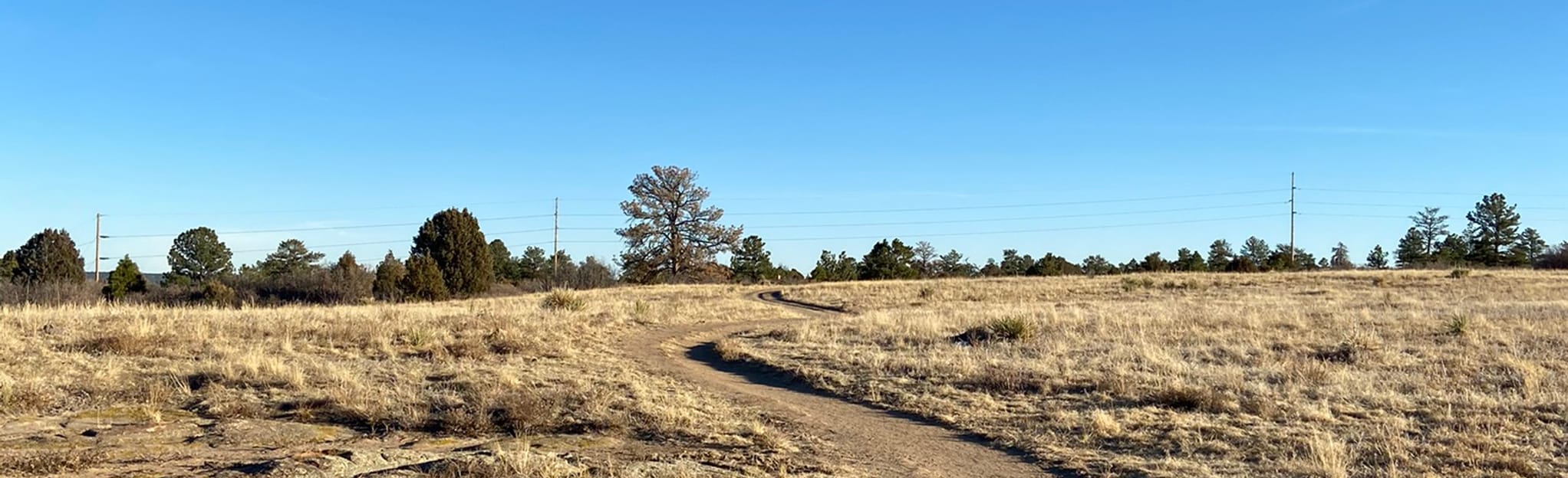 Chuck's Loop and Legacy Trail - Colorado | AllTrails