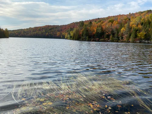 Best Easy Trails in Val-Morin | AllTrails