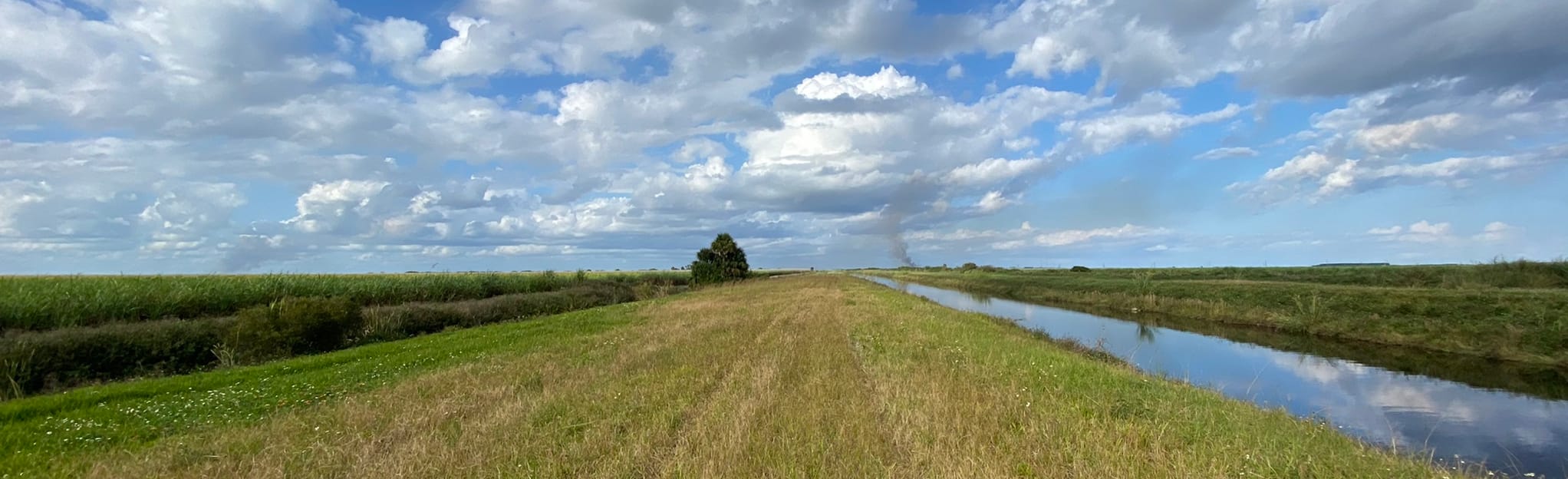 Florida National Scenic Trail via Western Corridor: 2 Reviews, Map ...