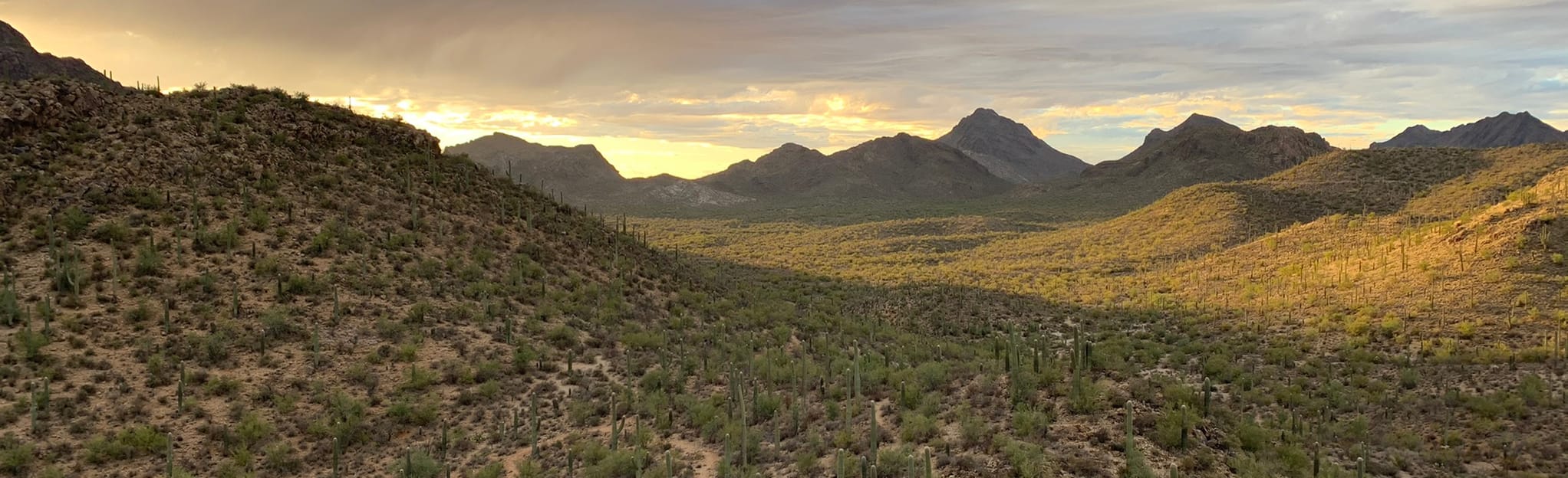 Wild West Trail, Arizona - 67 Reviews, Map | AllTrails
