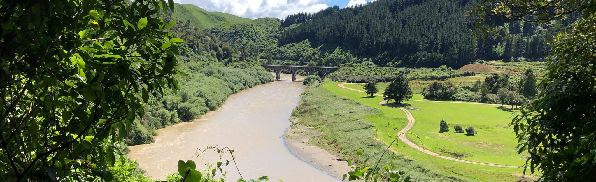 Manawatu Gorge Track via Big Totara Tree, Manawatu-Wanganui, New ...