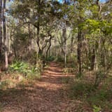 Richloam Wildlife Management Area, Florida - 61 Reviews, Map | AllTrails