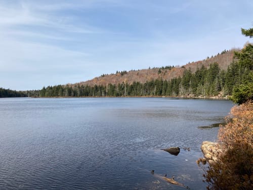 Best 10 Hikes and Trails in Shaker Mountain Wild Forest | AllTrails