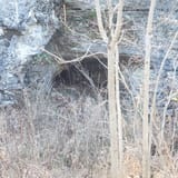 Cecil Cove Loop Trail, Arkansas - 148 Reviews, Map | AllTrails