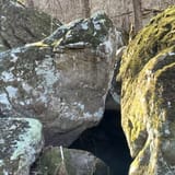 Cecil Cove Loop Trail, Arkansas - 148 Reviews, Map | AllTrails