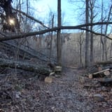 Cecil Cove Loop Trail, Arkansas - 147 Reviews, Map | AllTrails